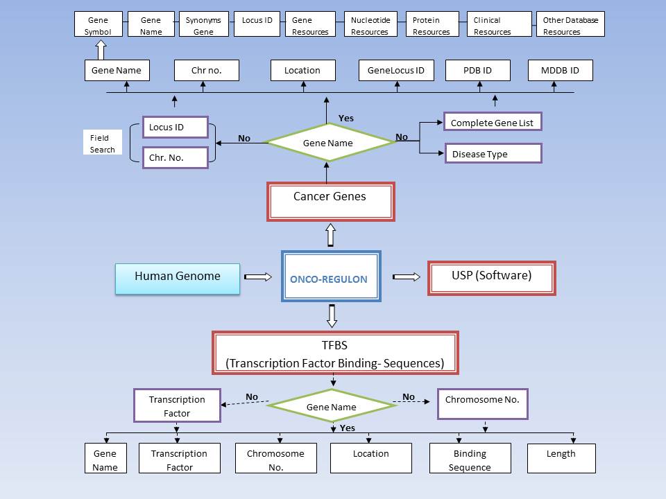ONCO: Database for cancer sites